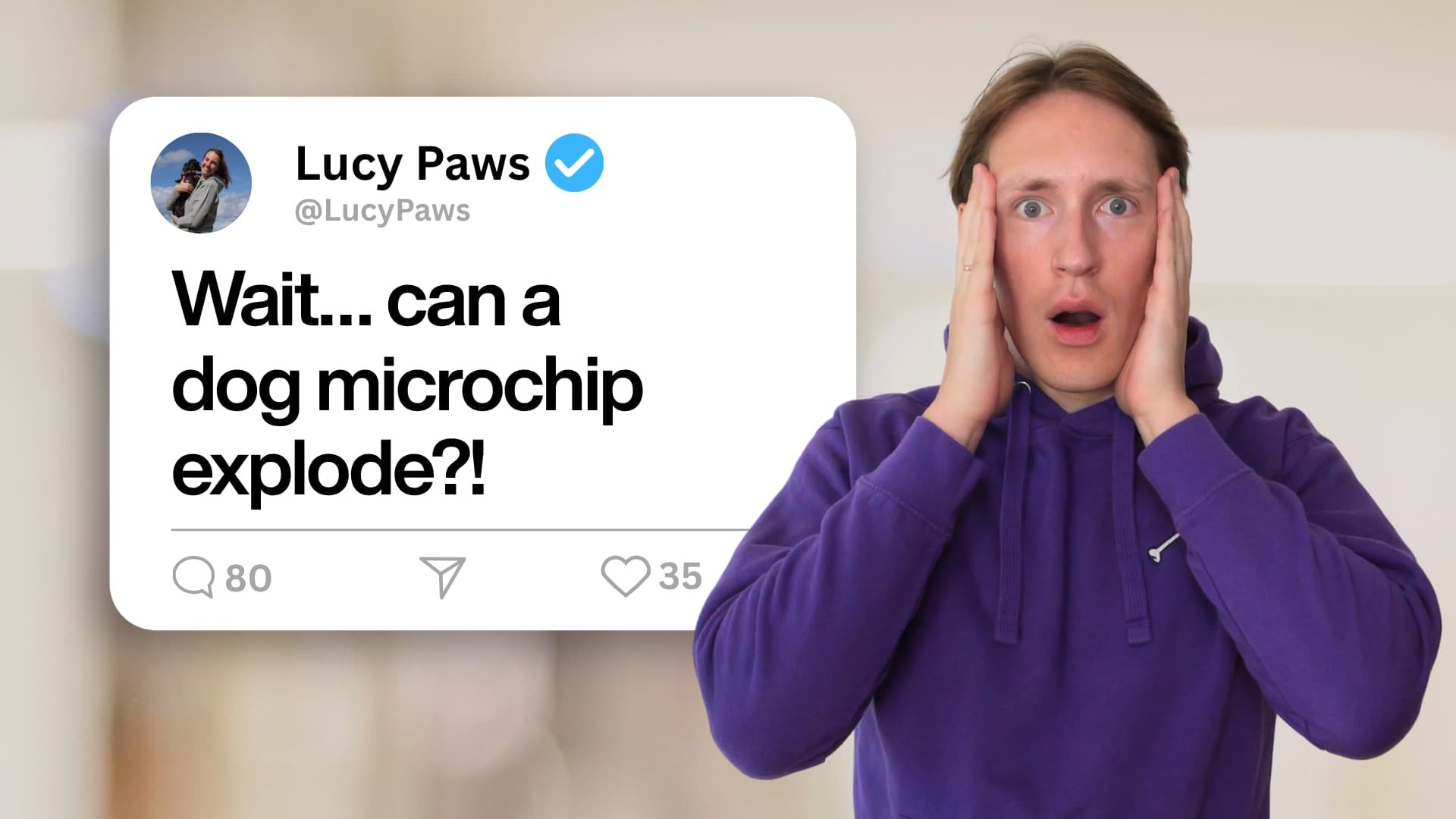 Dog Microchip vs pet GPS Tracker Explained – FAQ — Pocket Puppy School