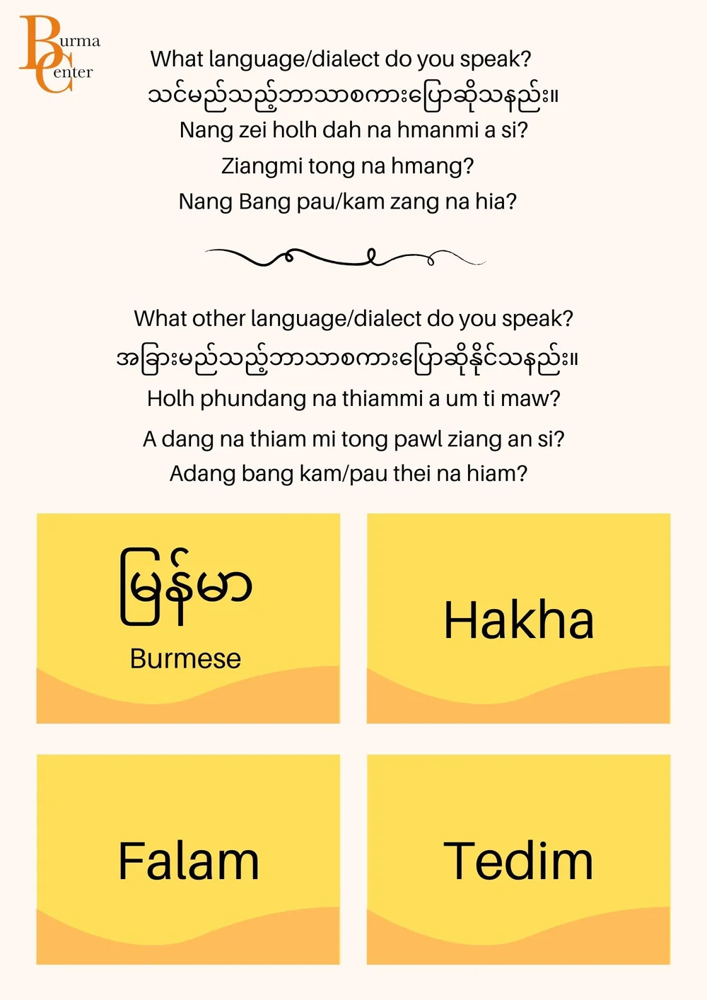 Language Access — Burma Center