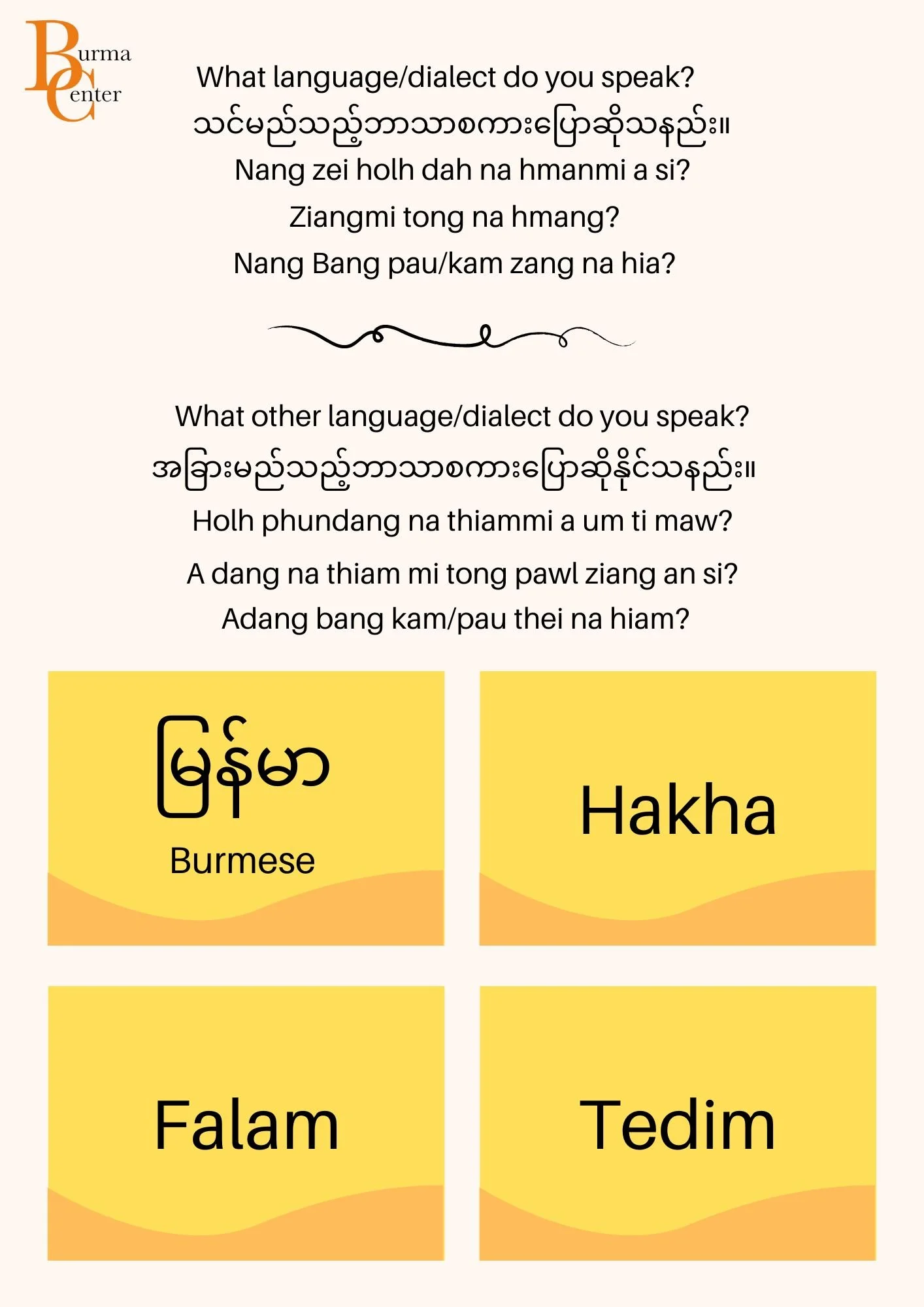 Language Access — Burma Center
