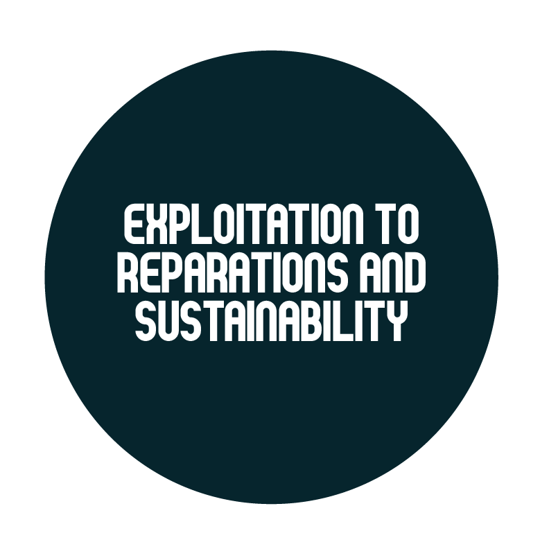 Just Transition Lawyering Institute