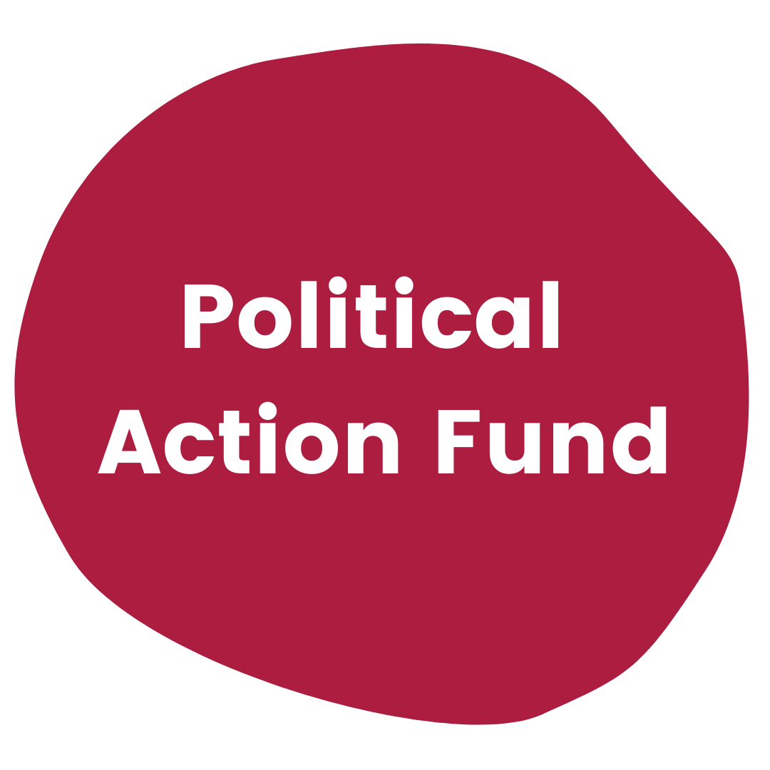 Political Initiative