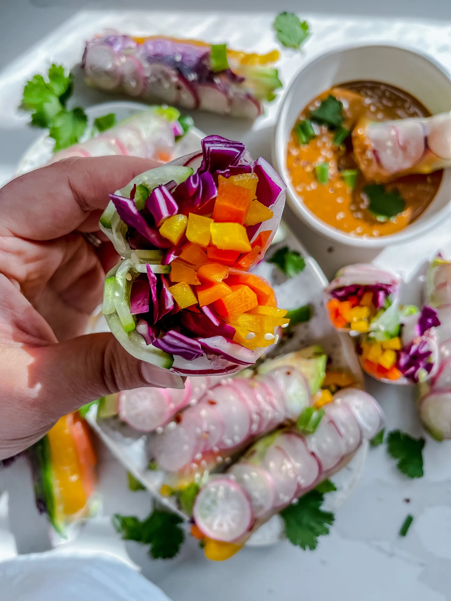 Rainbow Veggie Spring Rolls — All Types of Bowls