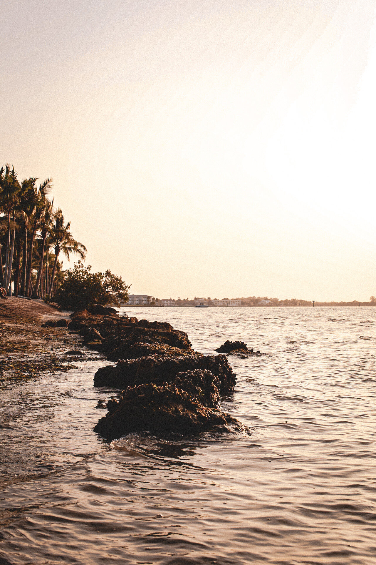 Docked in Newport — Sam Avery Media