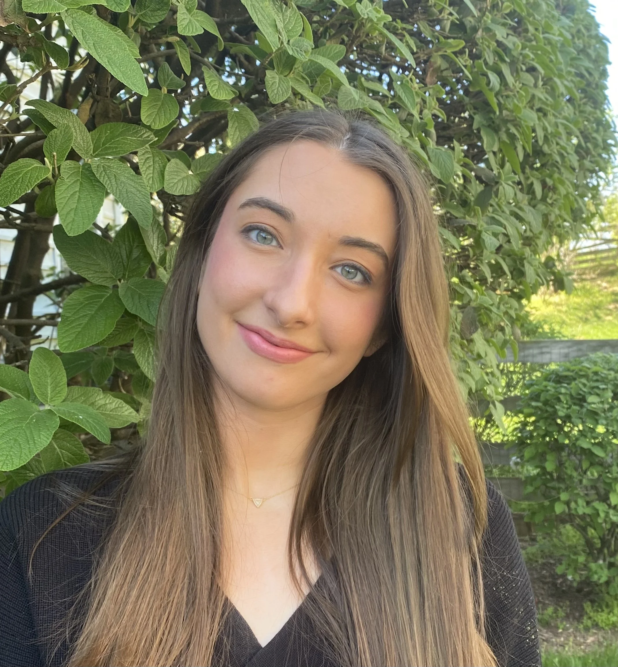 Our Therapy Team | Therapists in Washington, DC — North Star ...