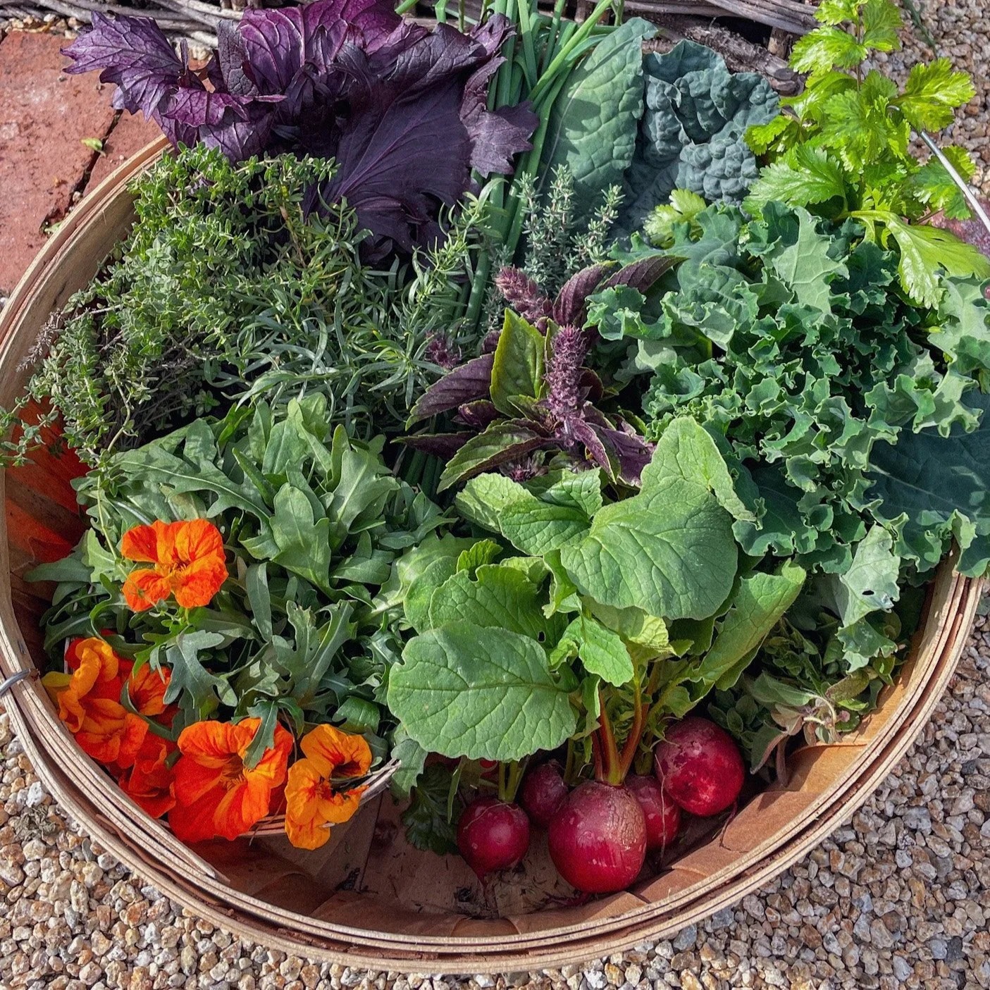 Lemonita Kitchen Gardens