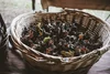 Gathering Basket - Multimedia Cookbook — I-Collective