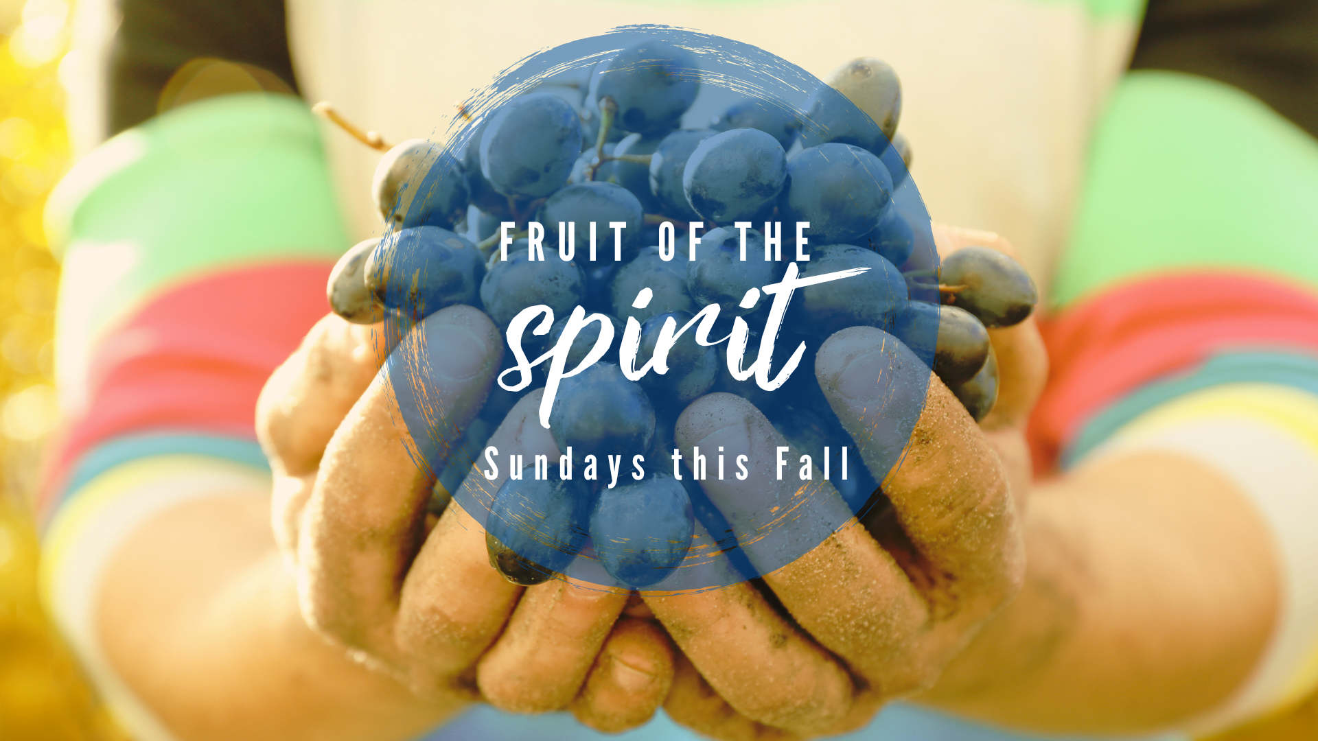 Saint Matthew | Join Us Today!