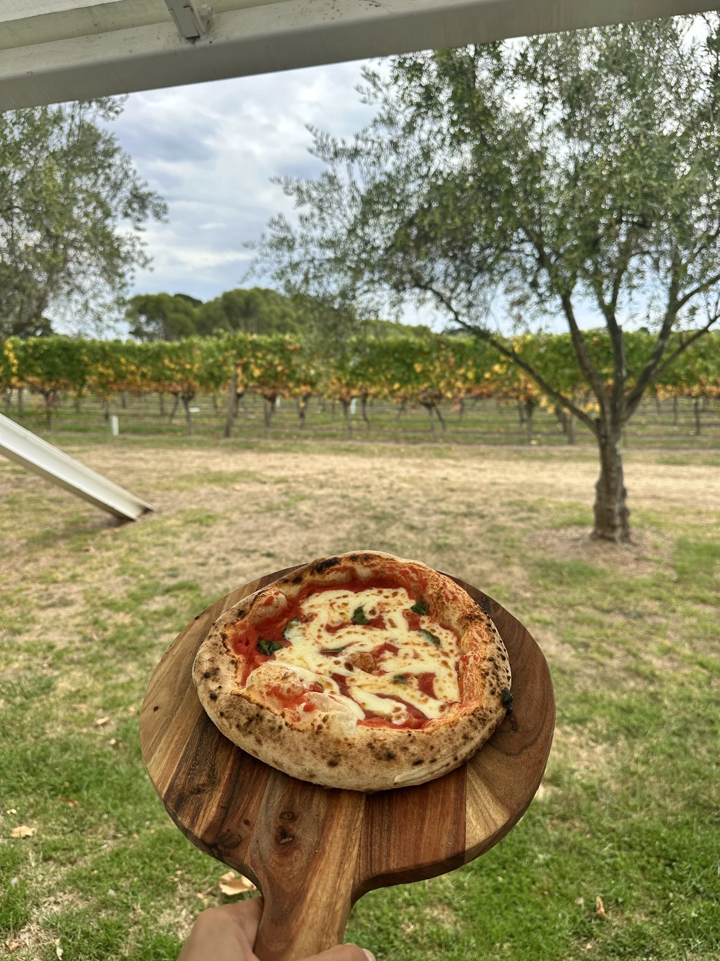 Pizza Masterclass — Panza Piena Catering