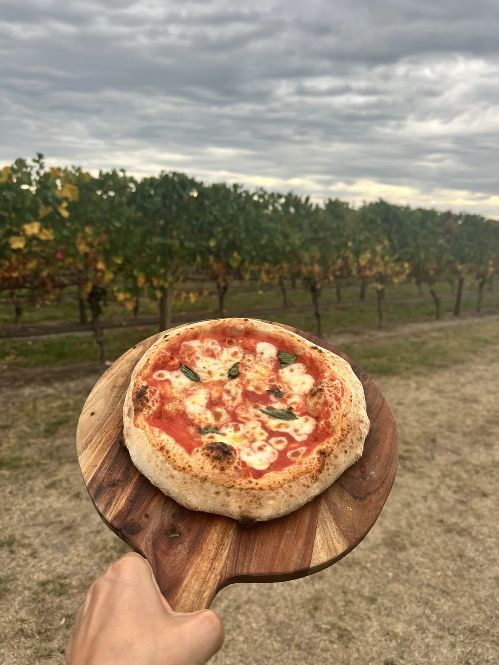 Pizza Masterclass — Panza Piena Catering