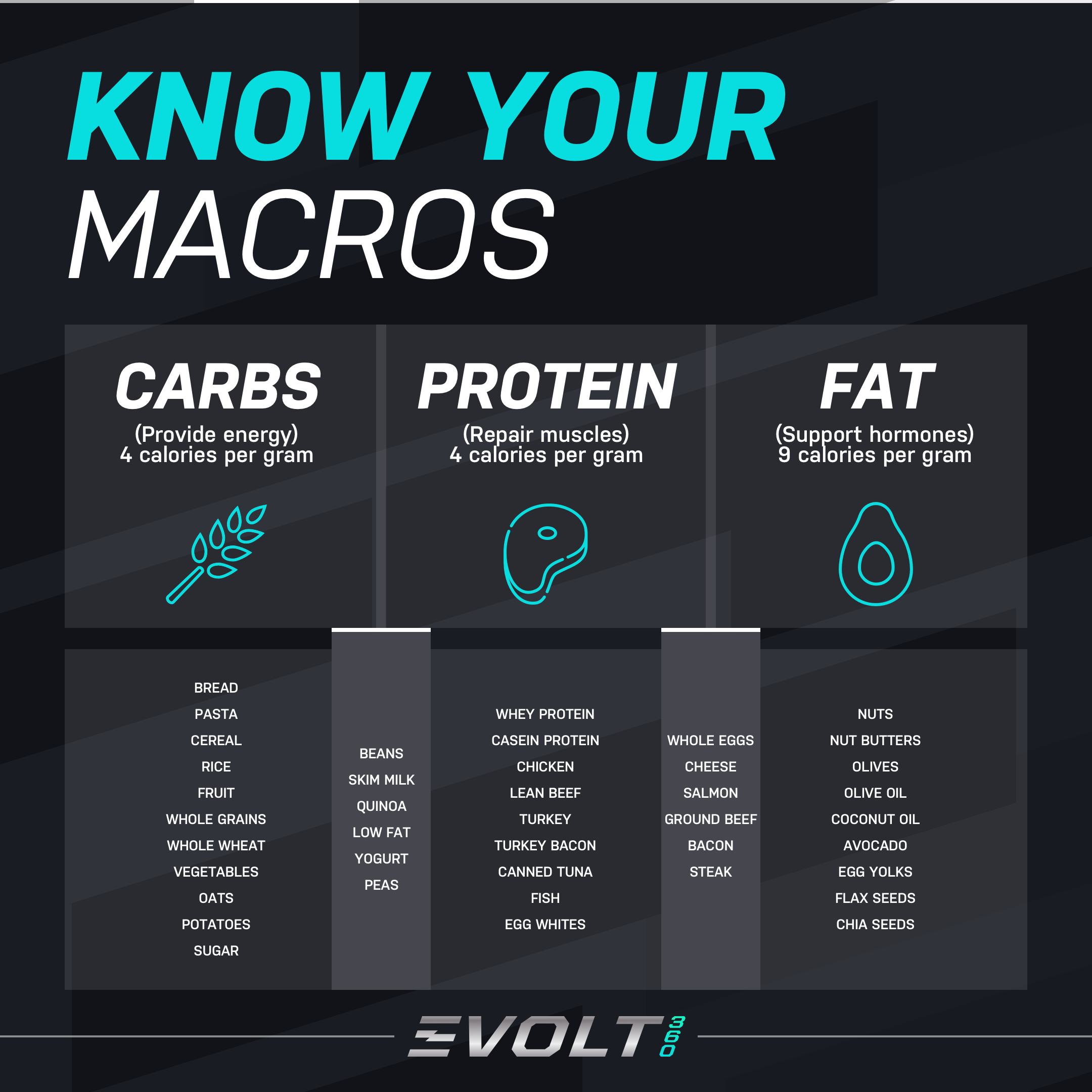 Evolt 360 Body Scanner — KORElab