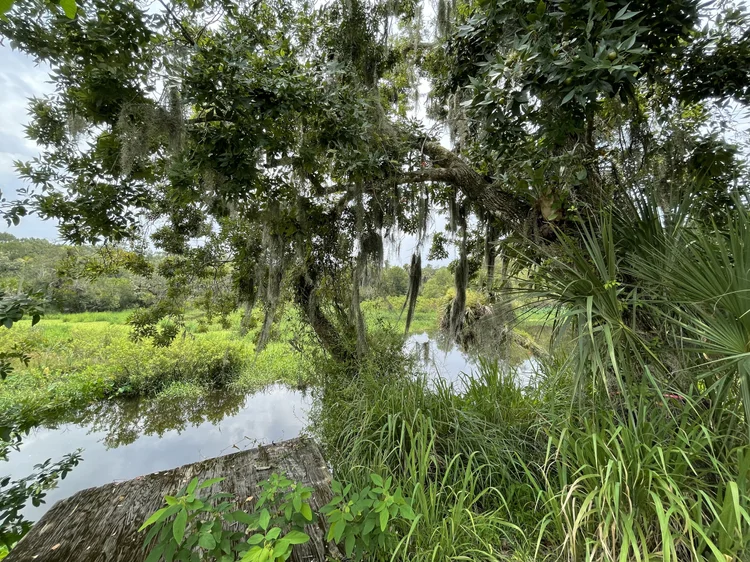 About Us — Linger Lodge