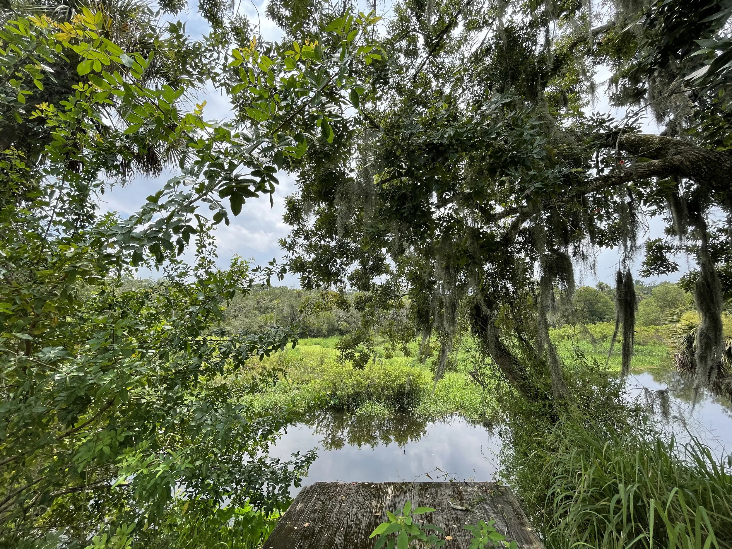 RV Park Bradenton FL | Resort and Campground | Linger Lodge