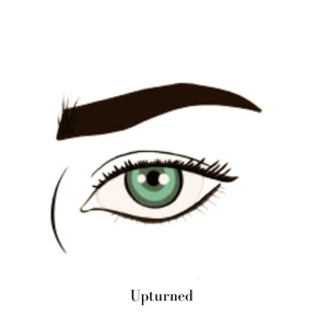 Eye make up tips for every eye shape — Crich Hair & Beauty