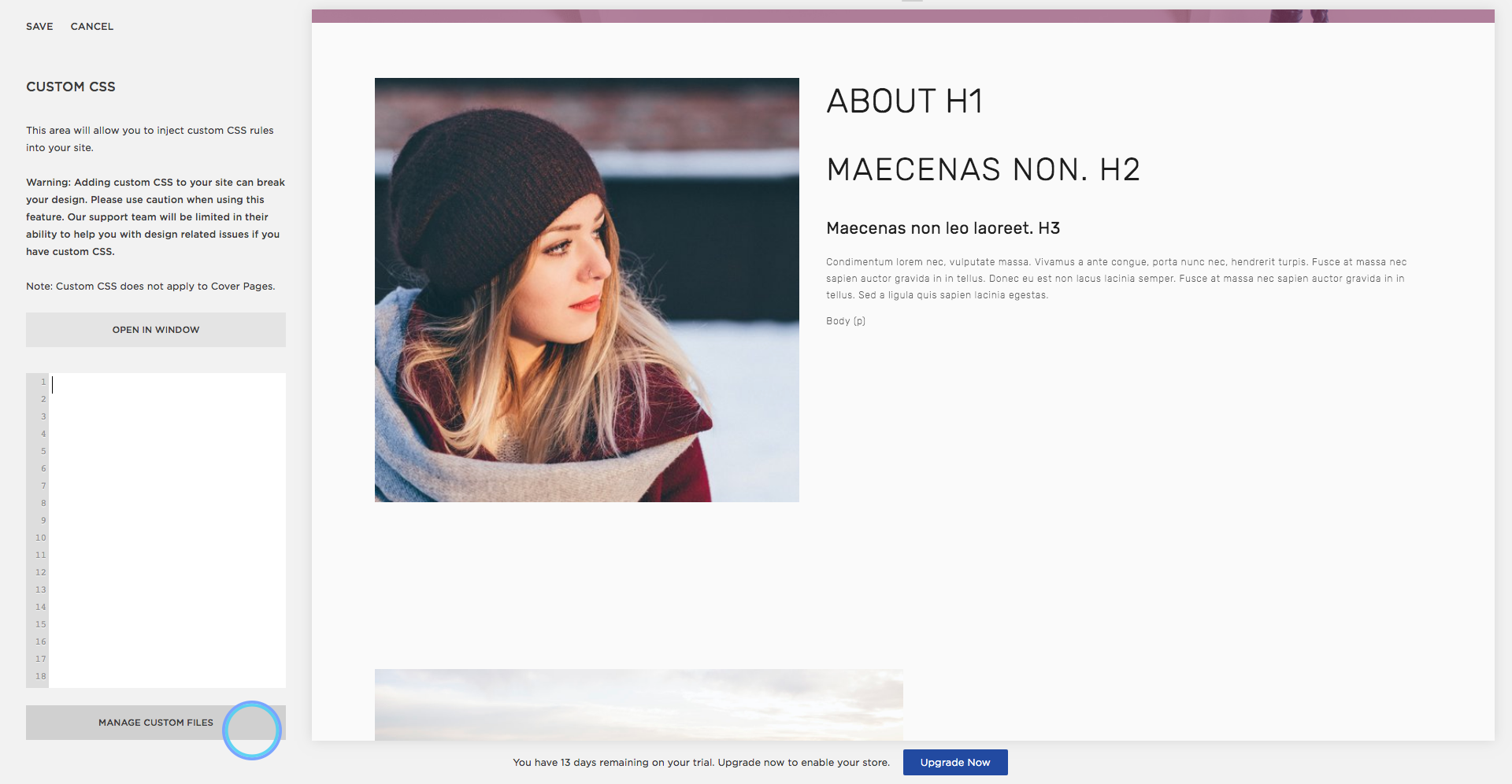 How To Upload And Use A Custom Font In Squarespace — Squarespace Web Designer & Squarespace ...