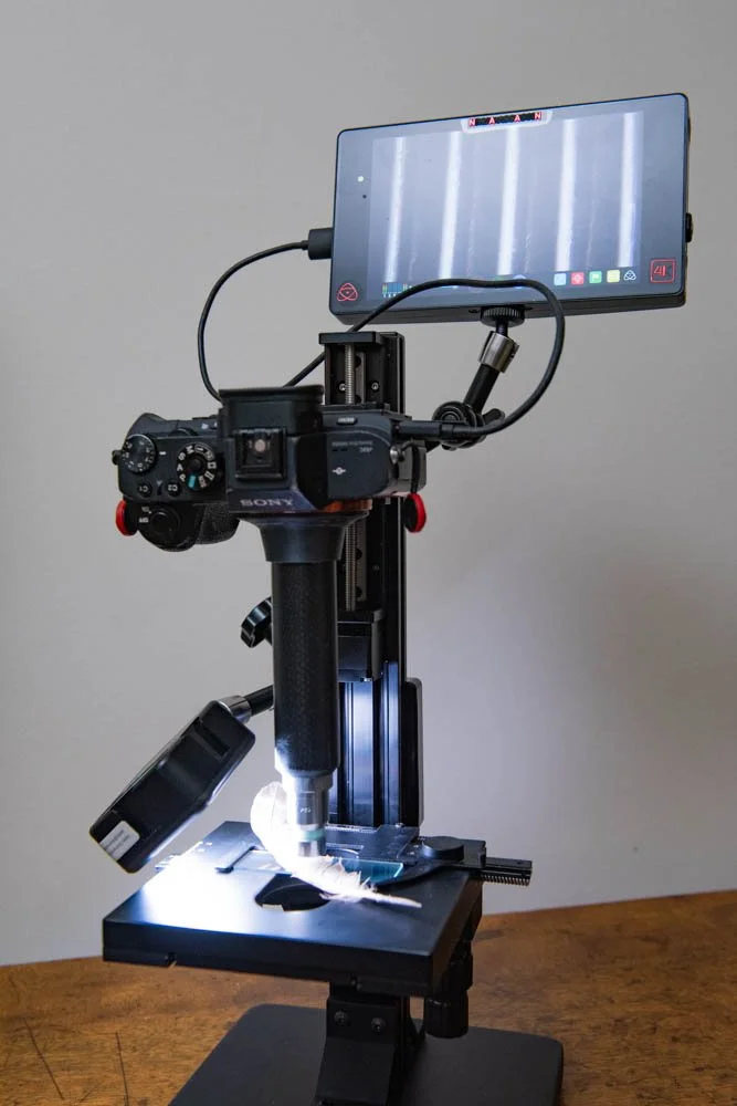 Smart macro modular microscope system — Domanski Photographic