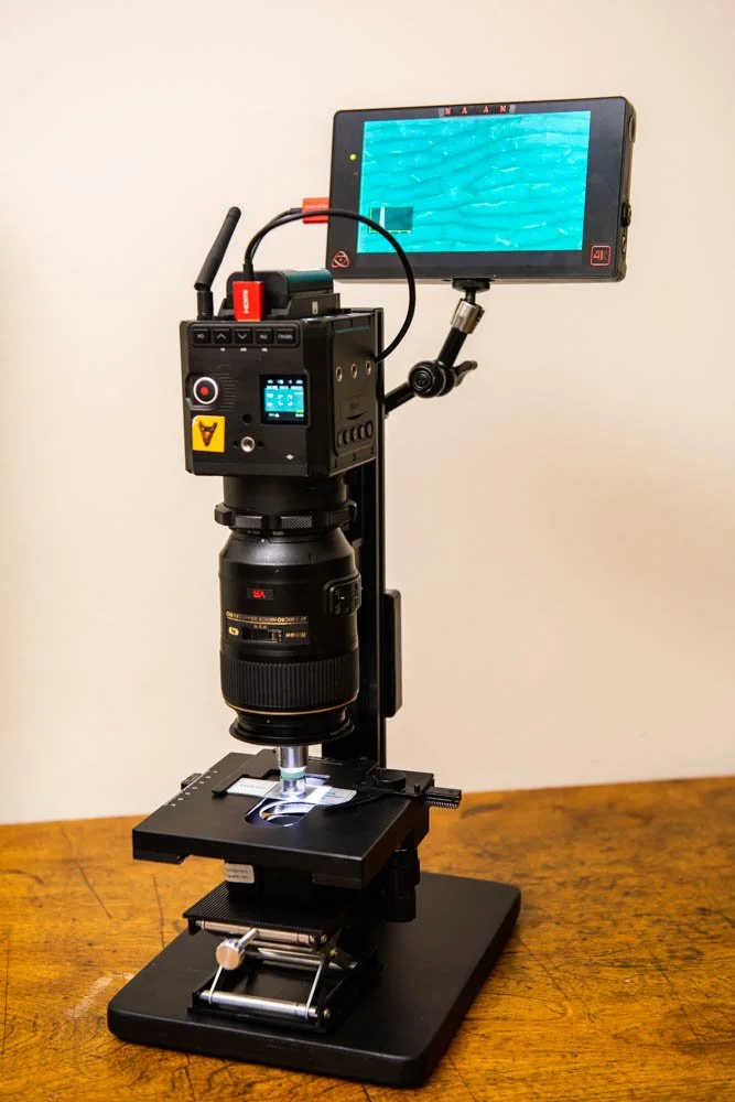 Smart macro modular microscope system — Domanski Photographic