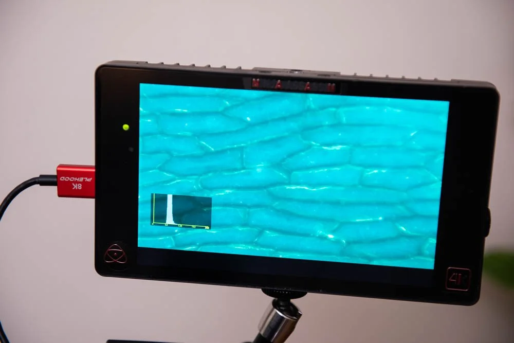 Smart macro modular microscope system — Domanski Photographic