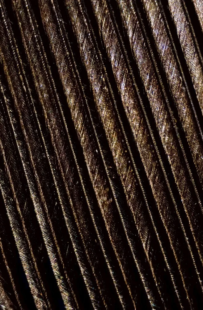 Smart macro modular microscope system — Domanski Photographic