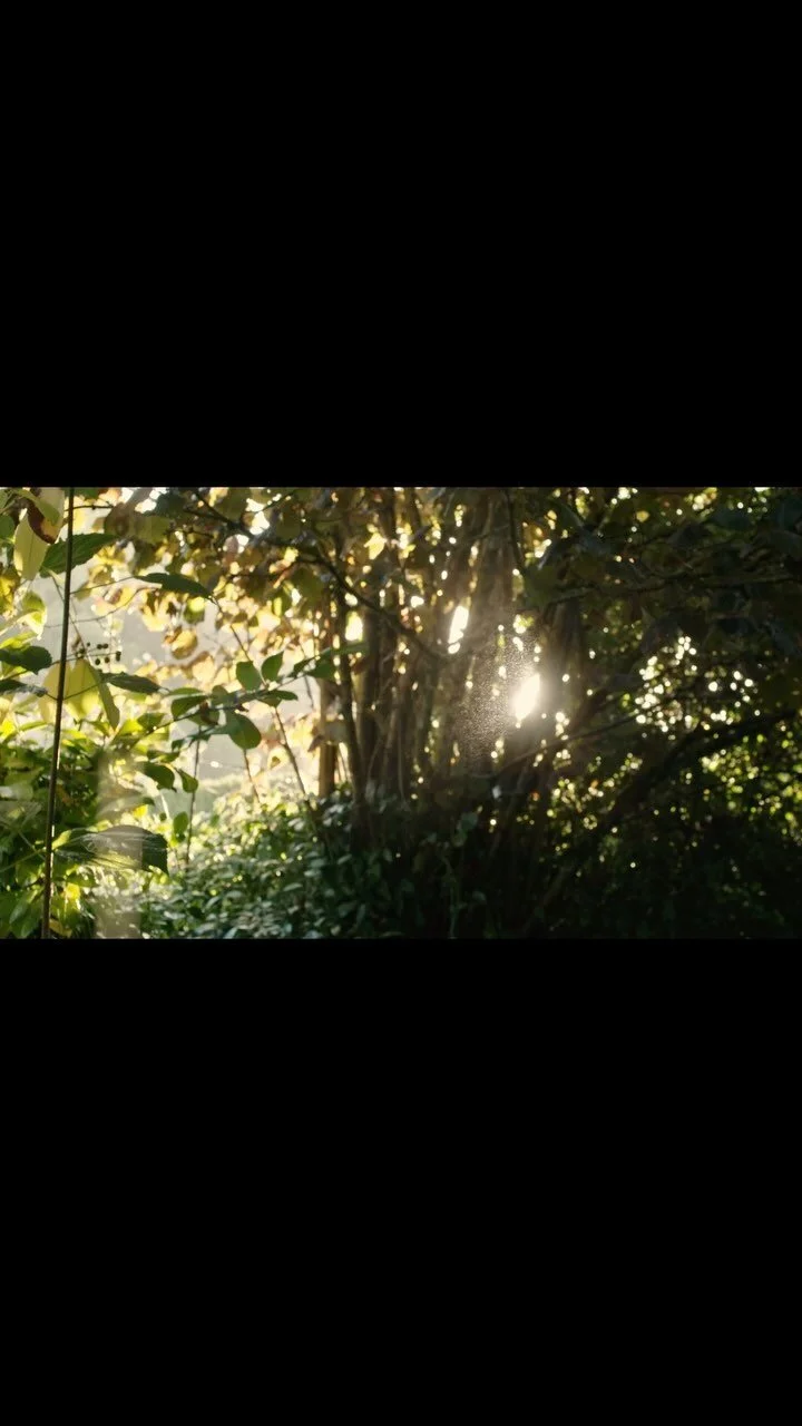 Domanski Photographic