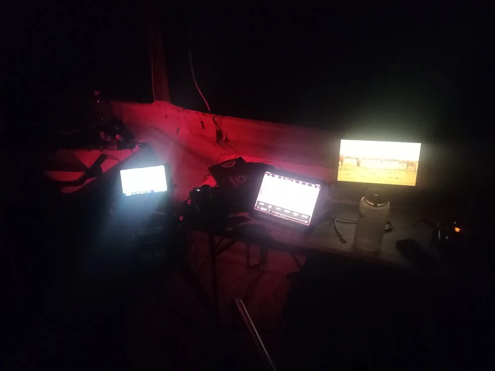 Wildlife cinematography under infrared light: Part 1 (background ...
