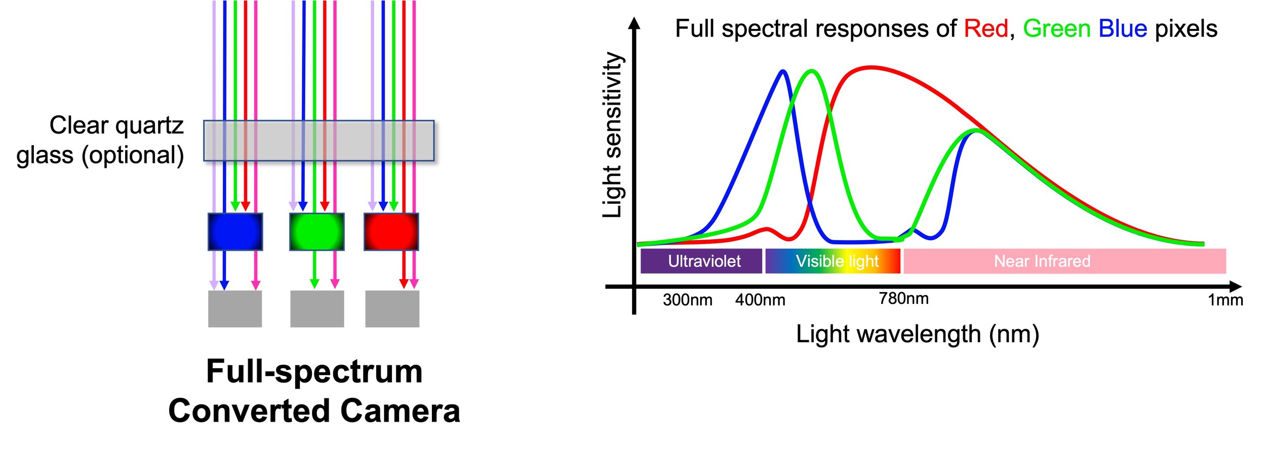 Wildlife cinematography under infrared light: Part 1 (background ...