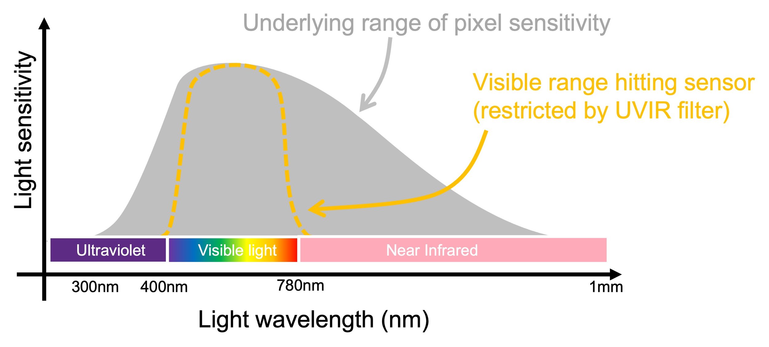 Wildlife cinematography under infrared light: Part 1 (background ...