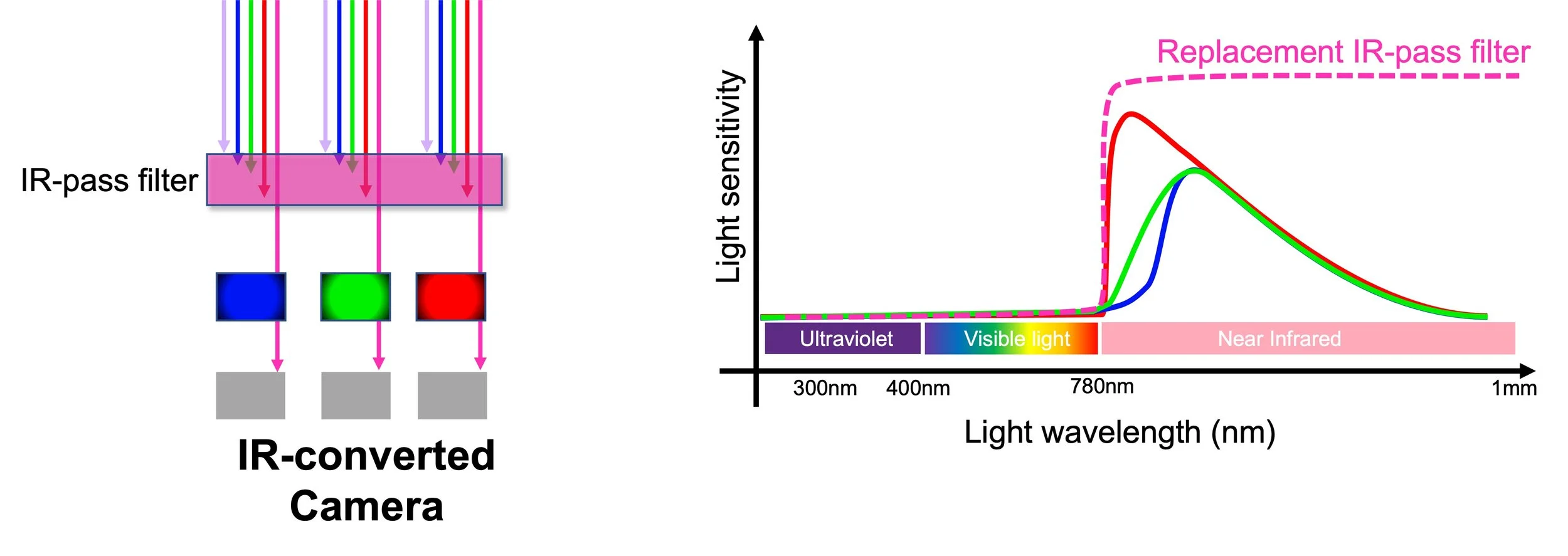 Wildlife cinematography under infrared light: Part 1 (background ...