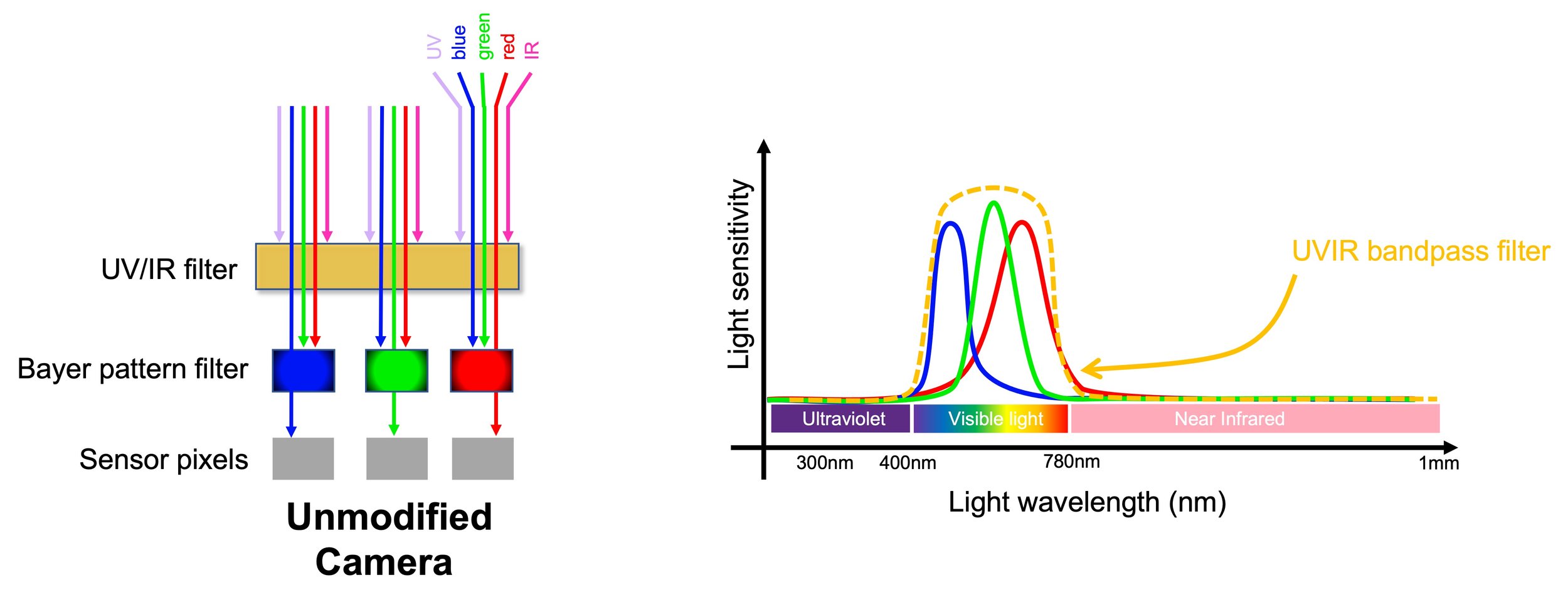 Wildlife cinematography under infrared light: Part 1 (background ...