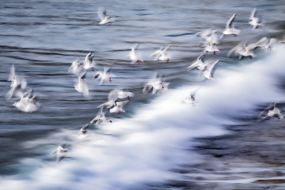 Under the surface — Domanski Photographic