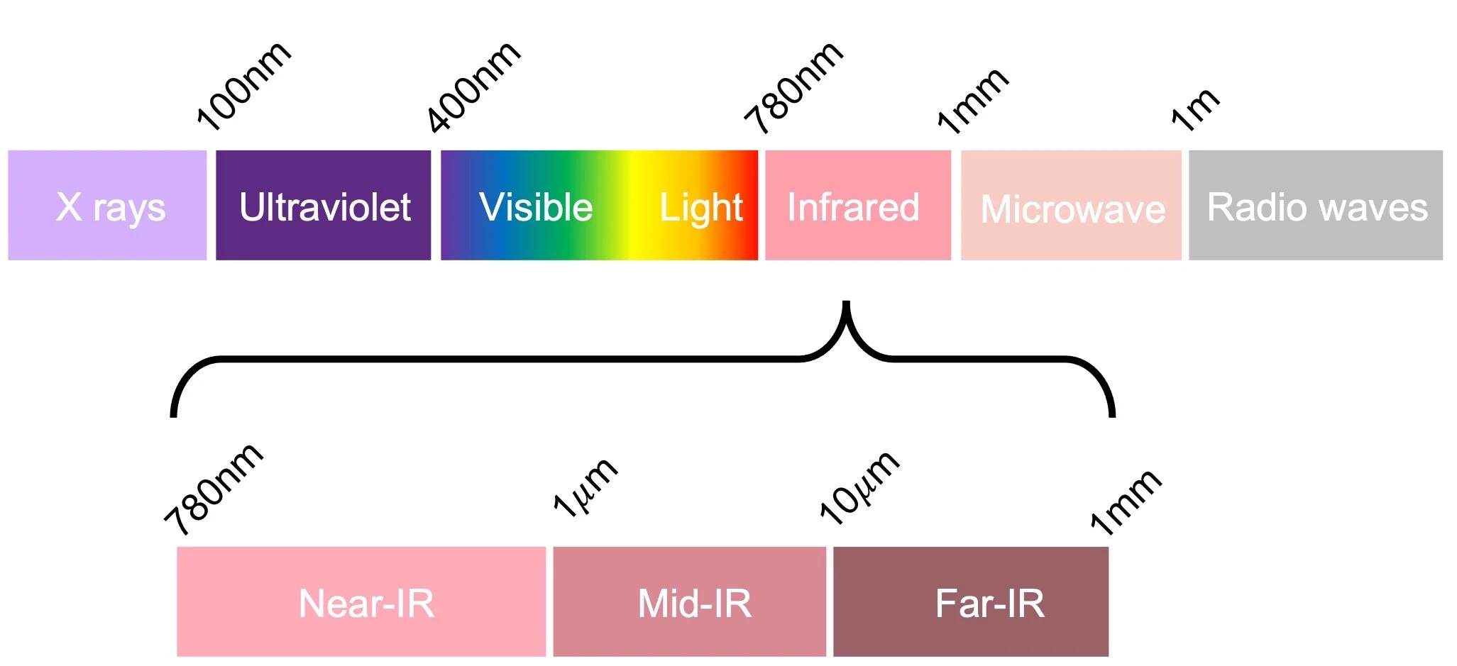 Wildlife cinematography under infrared light: Part 1 (background ...