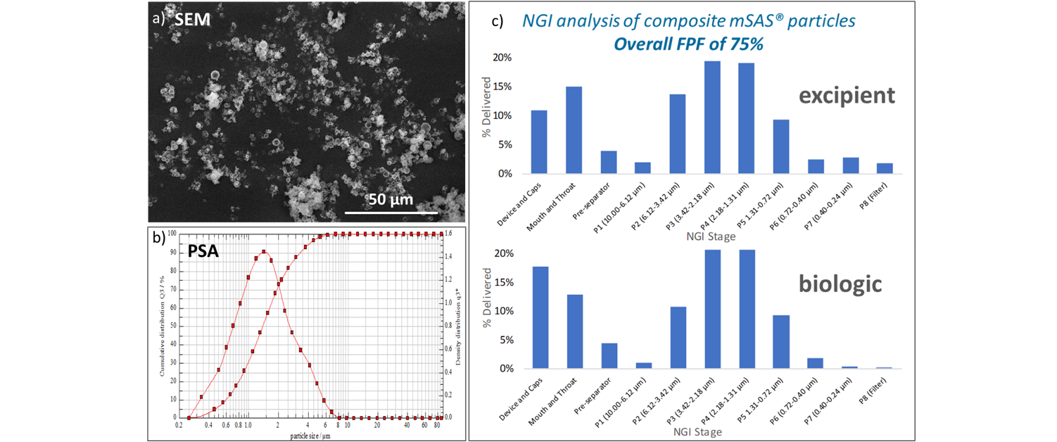 Developing biological drugs for inhaled delivery — CrystecPharma