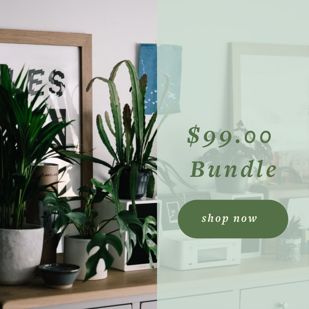 Create a Registry for Your Fresh Start | Fresh Starts Registry