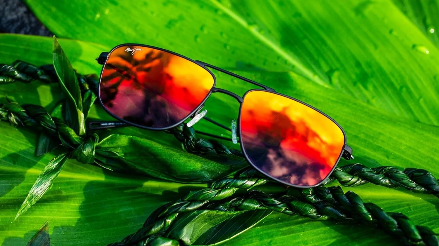 Expert Eye Care, Arthur Hayes Opticians