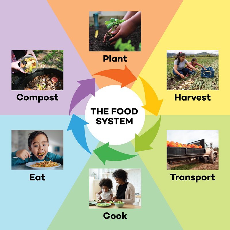 Curriculum — Seattle Farm to Preschool Program