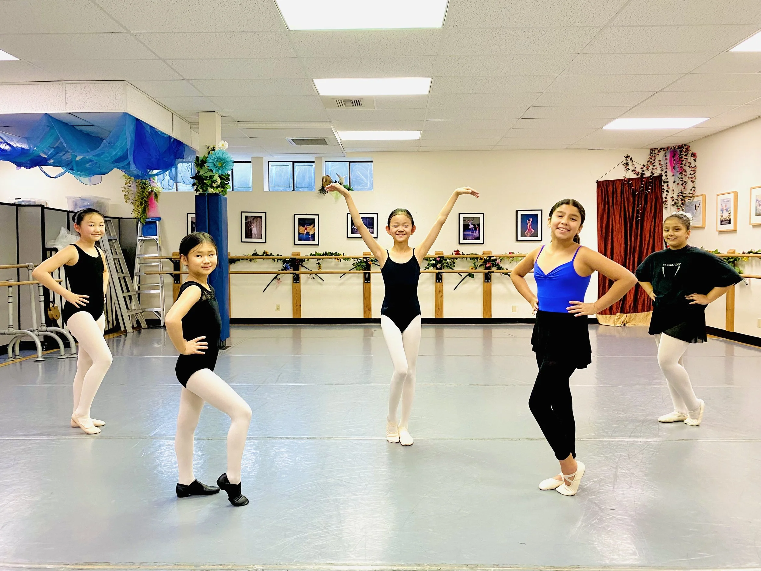 Curriculum — Emerald Ballet Academy