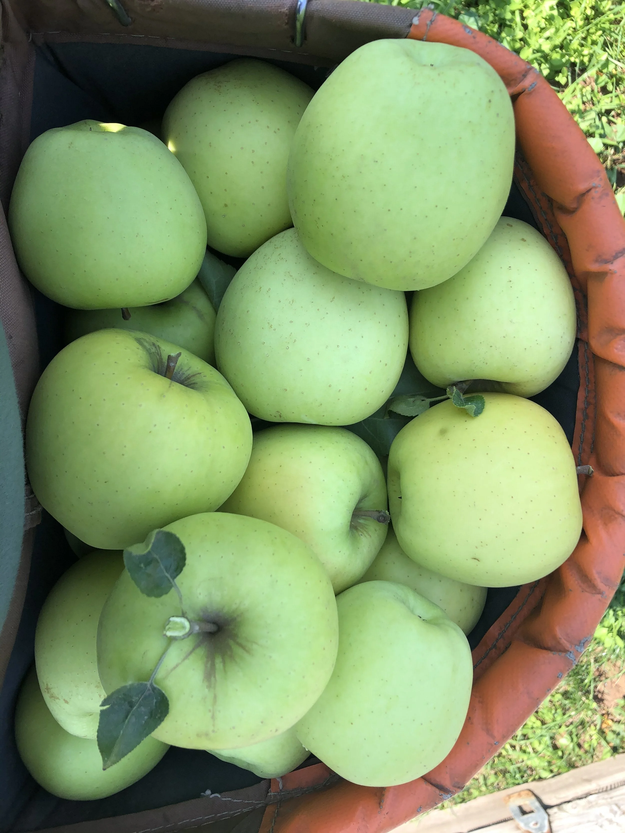 About — The Farmer in Odell