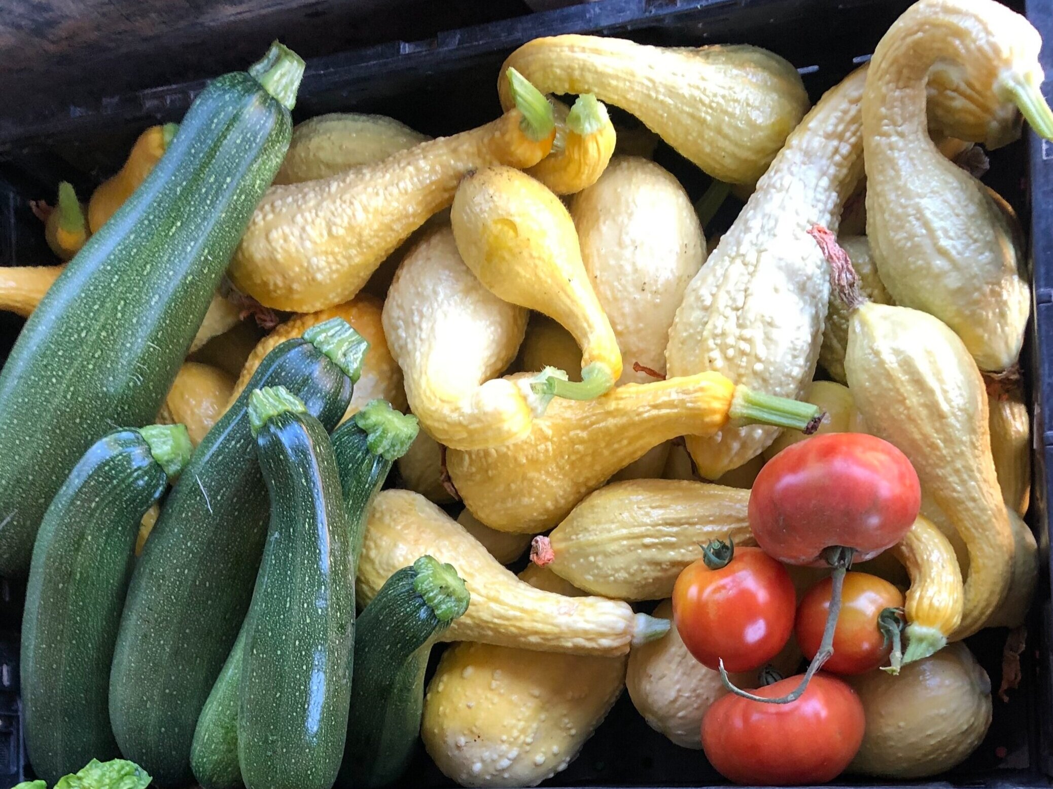 Products — The Farmer in Odell