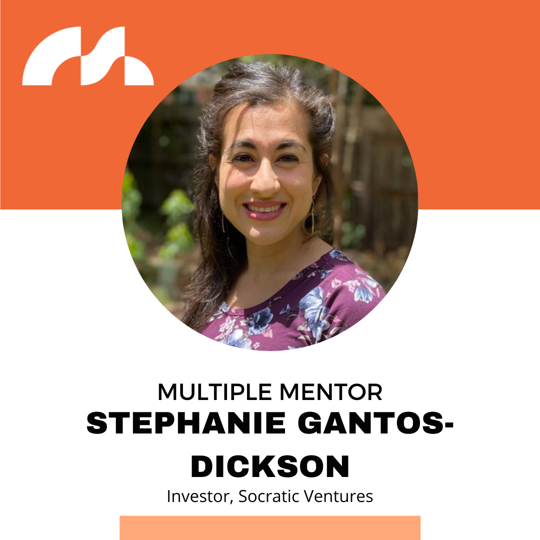 Mentors — Multiple