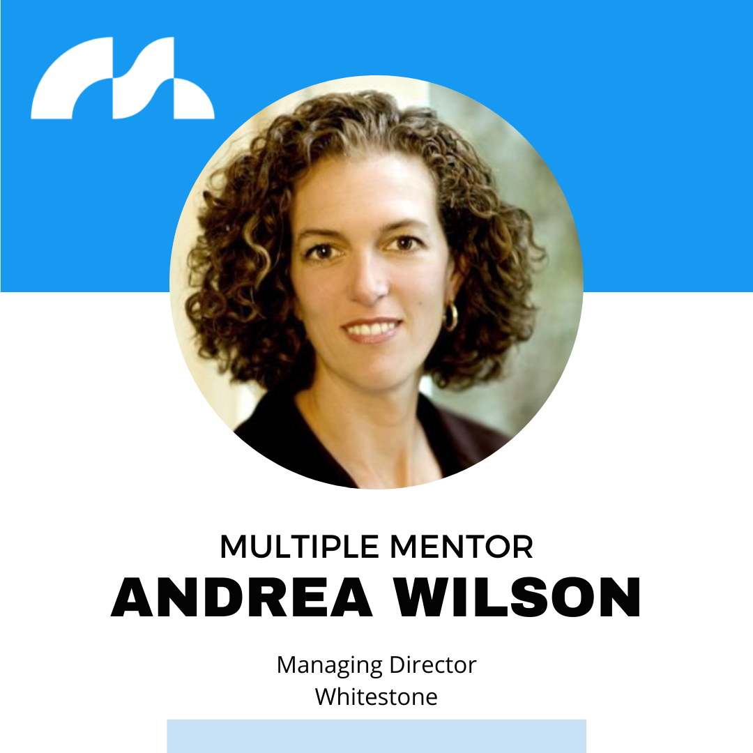 Mentors — Multiple