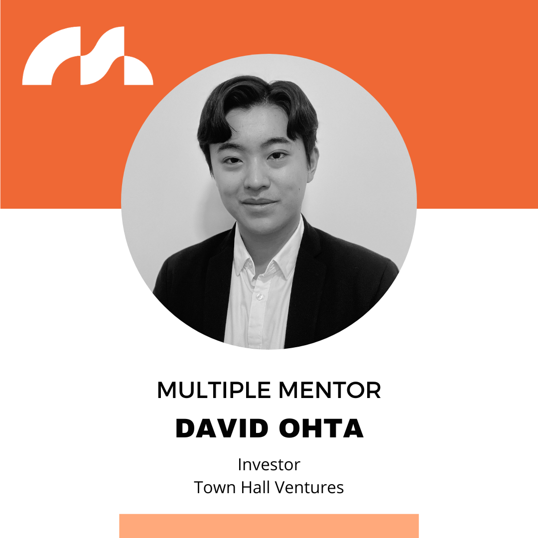 Mentors — Multiple