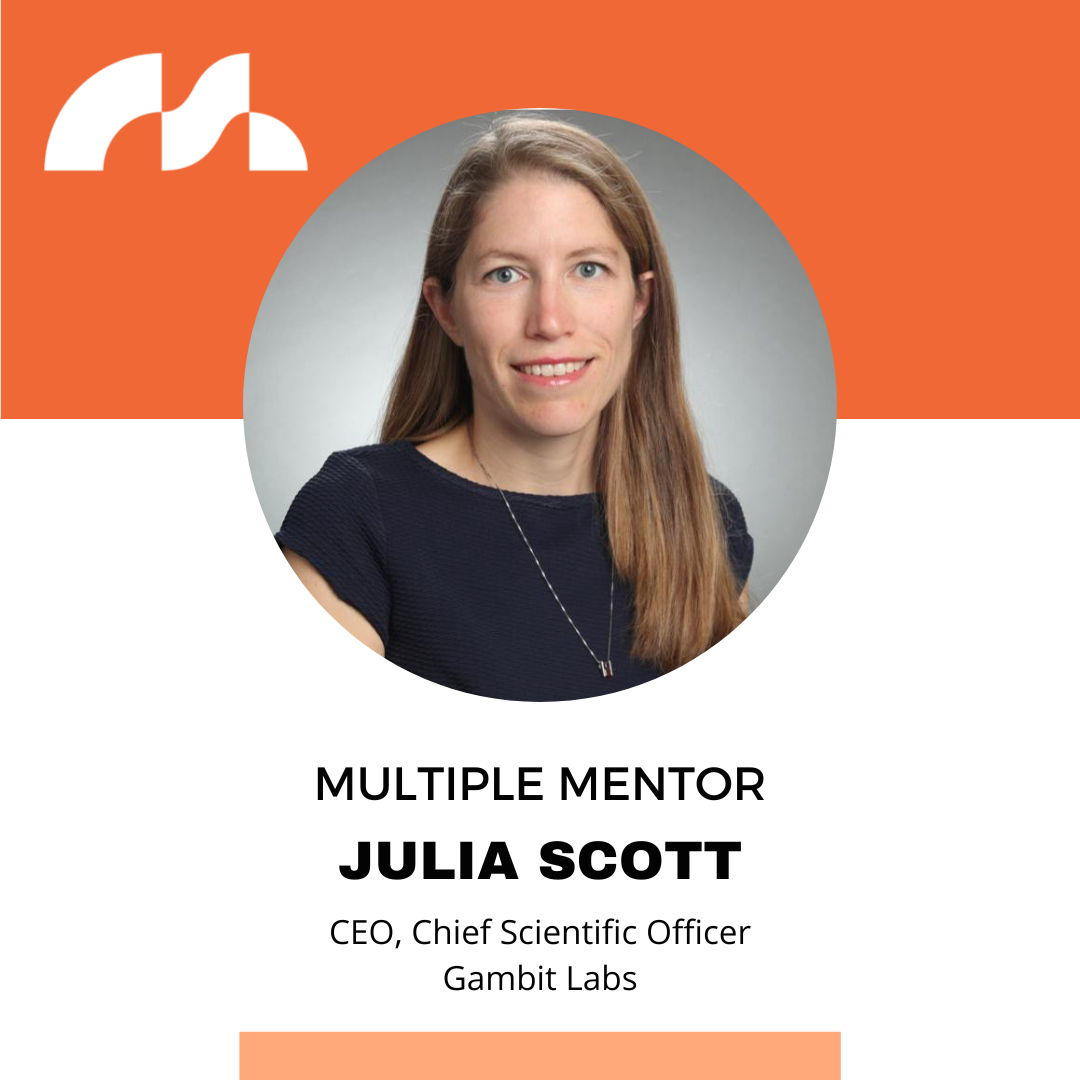 Mentors — Multiple