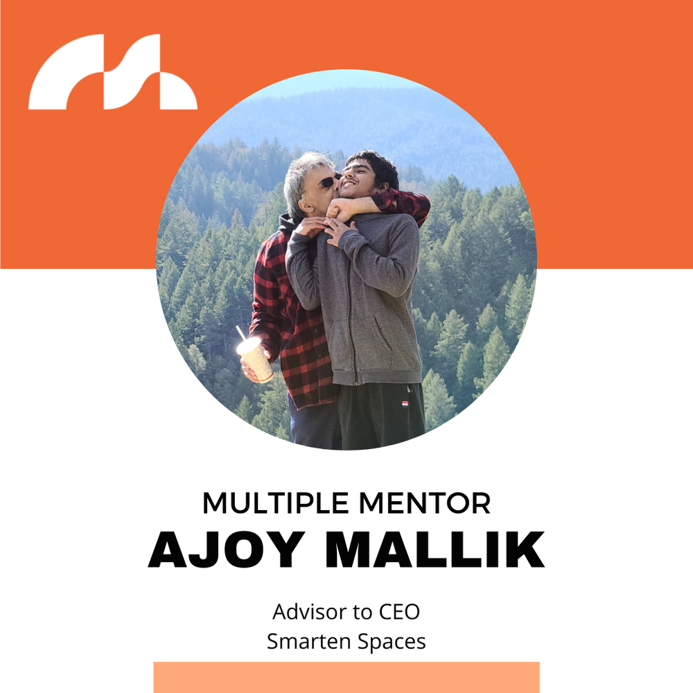 Mentors — Multiple