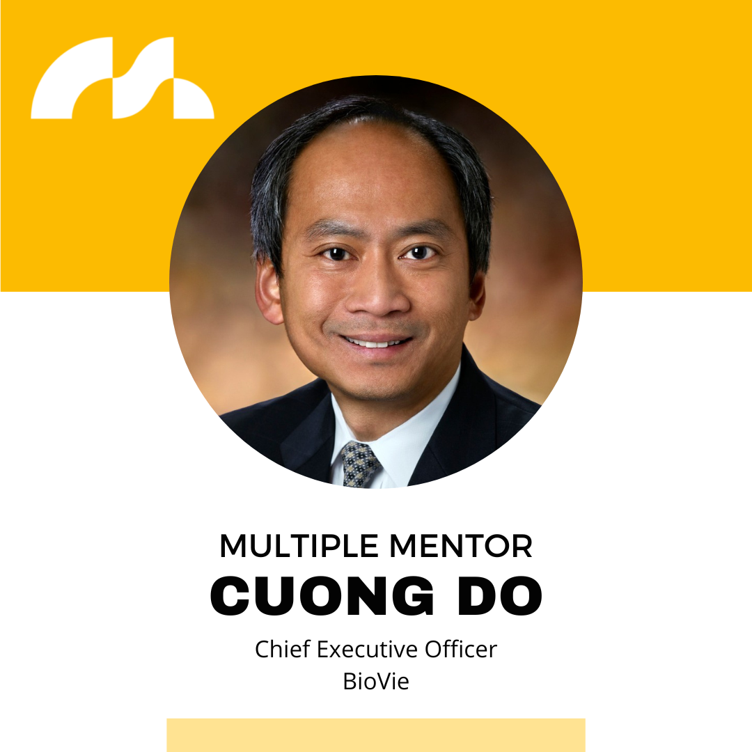 Mentors — Multiple