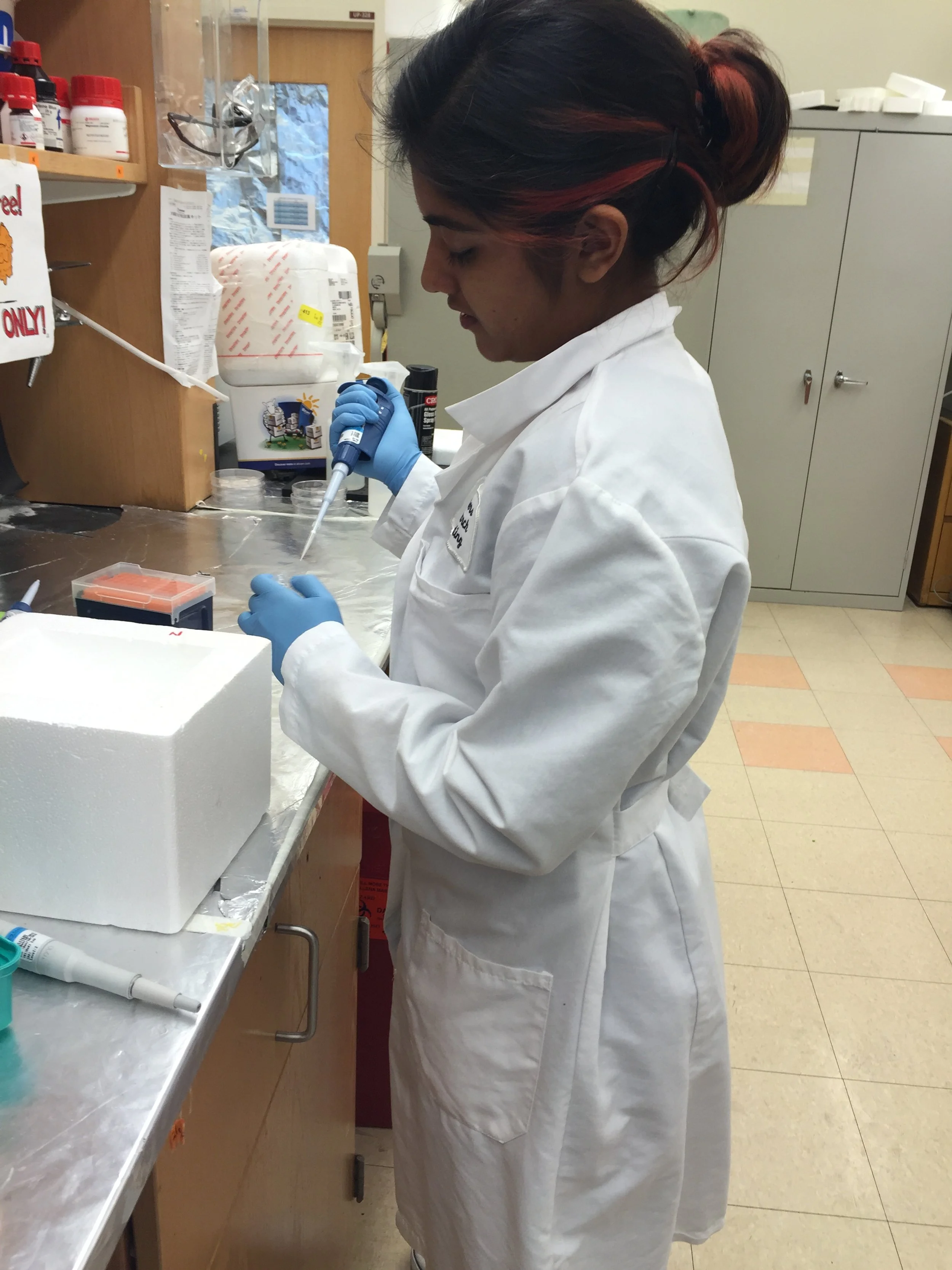 2024 Research Bootcamp — Incognito Blueprints