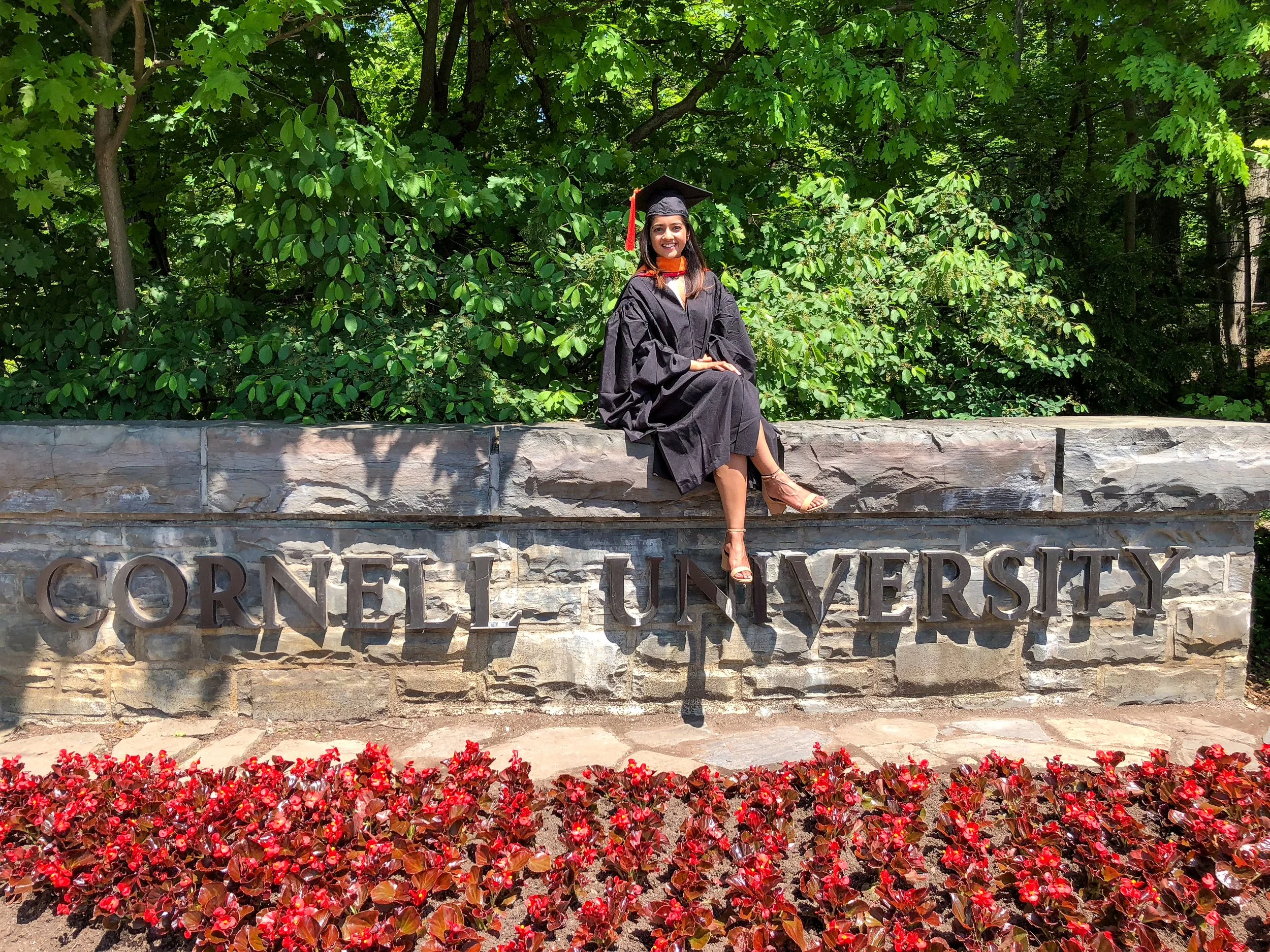 Ivy League 101 — Incognito Blueprints