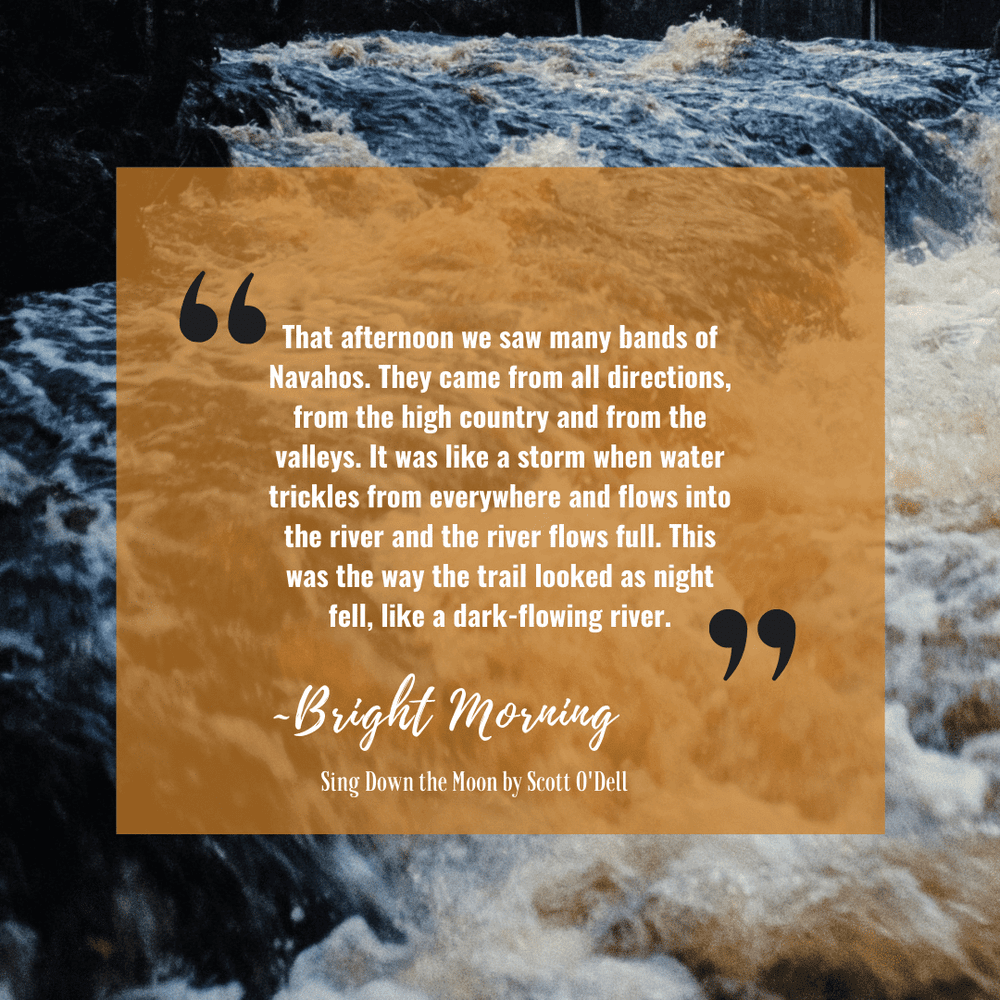 Book Review | Sing Down the Moon by Scott O’Dell — Sisu Site Shop