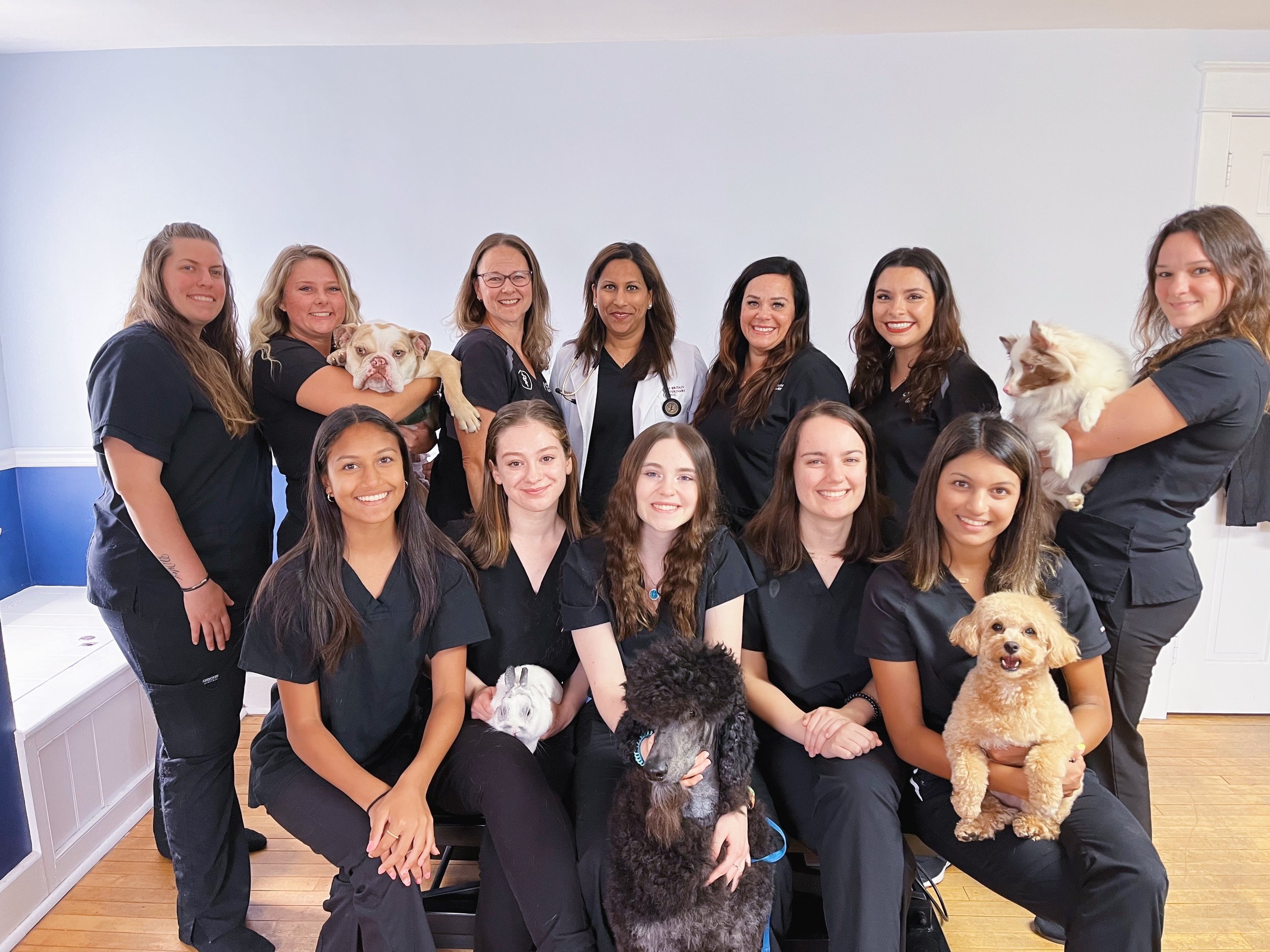 Team — New Britain Veterinary Clinic