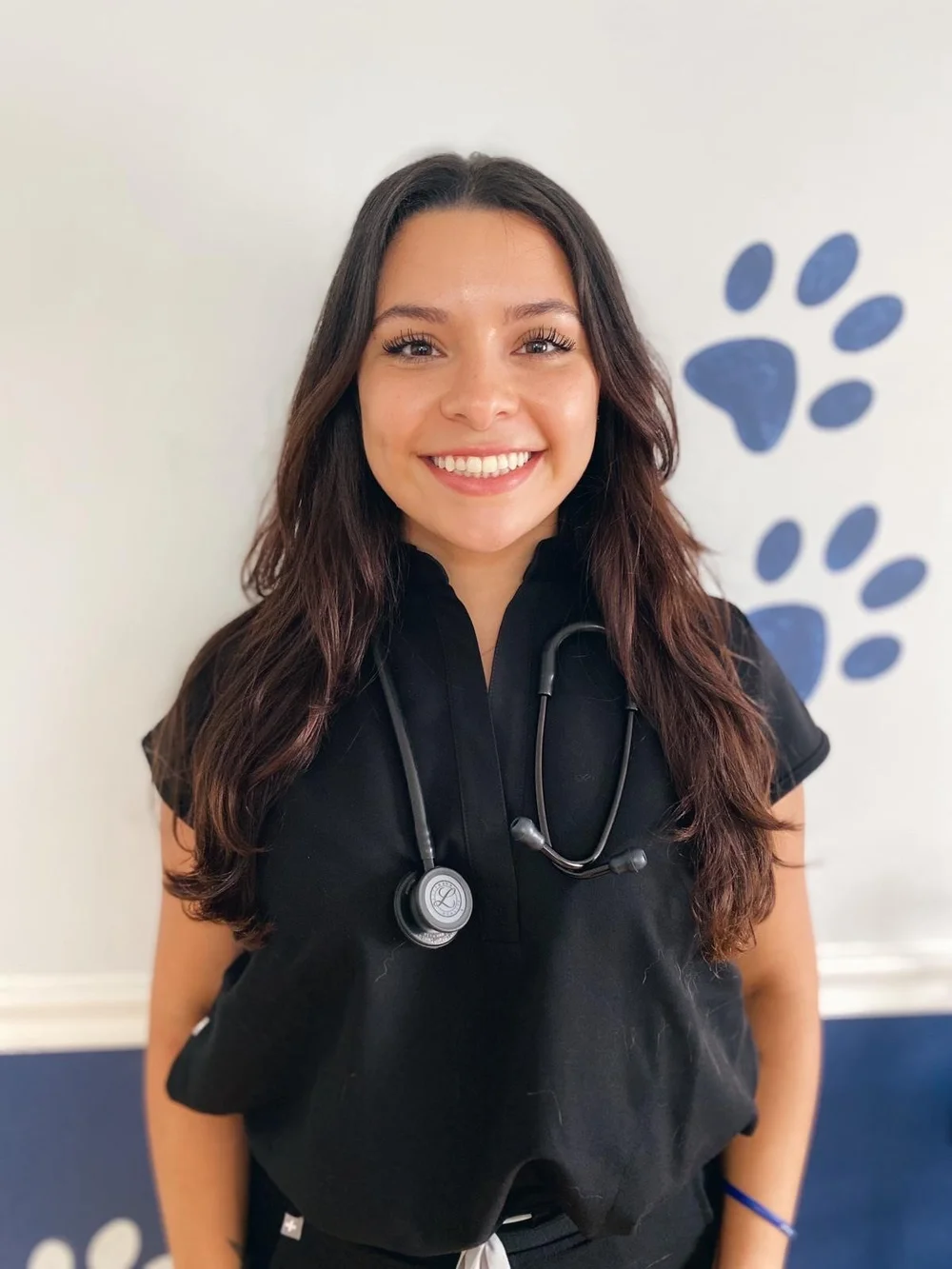 Team — New Britain Veterinary Clinic
