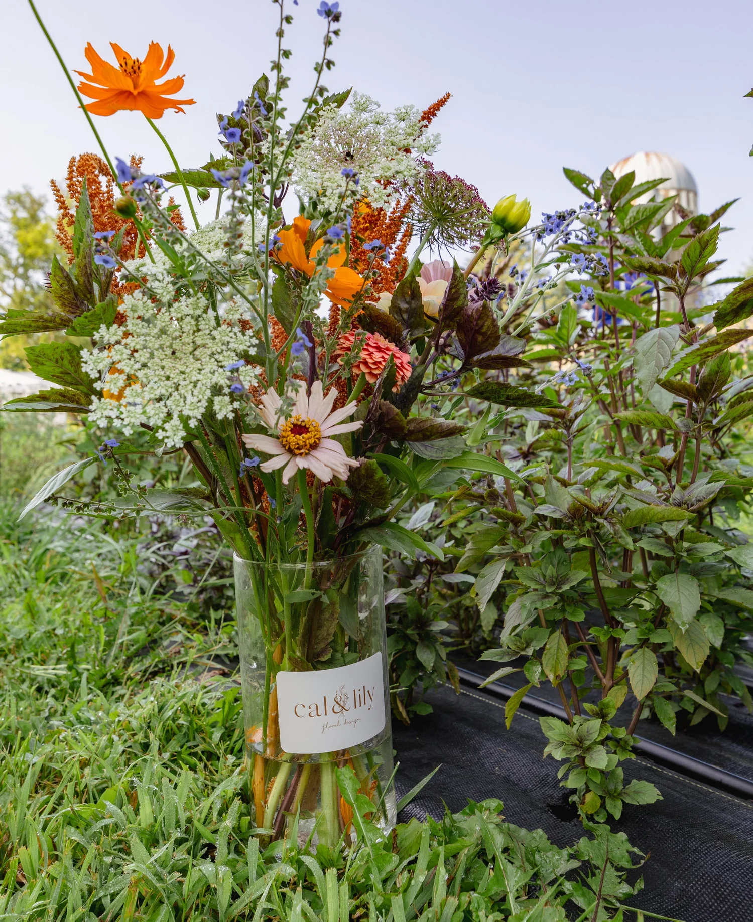 Organic Local Flower Farm - Fresh Cut Flowers - Minneapolis