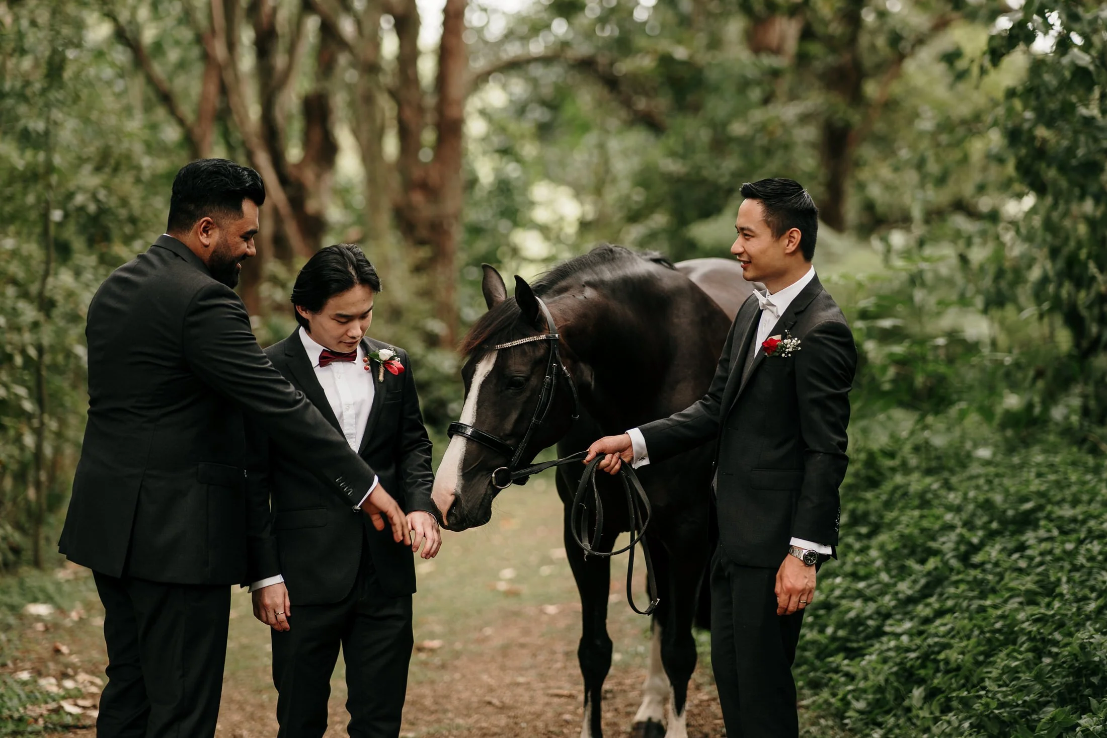 Saila & Hao | Hedges Estate Wedding Venue | Auckland Wedding ...